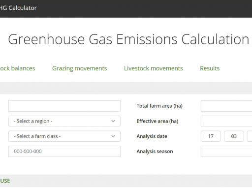 Software development | Catalyst IT