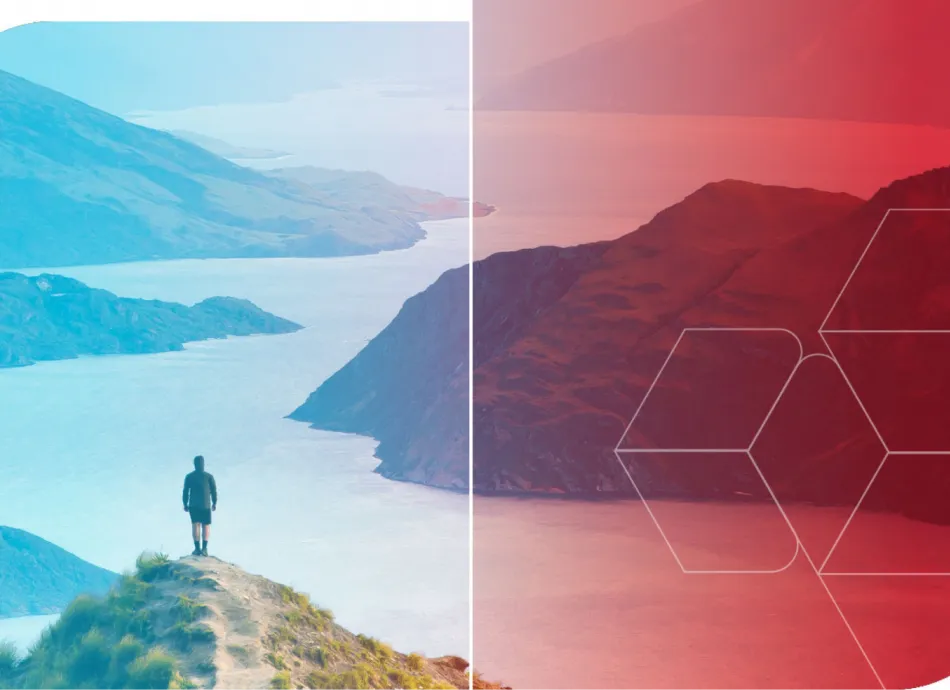 Our AI Principles | Catalyst IT